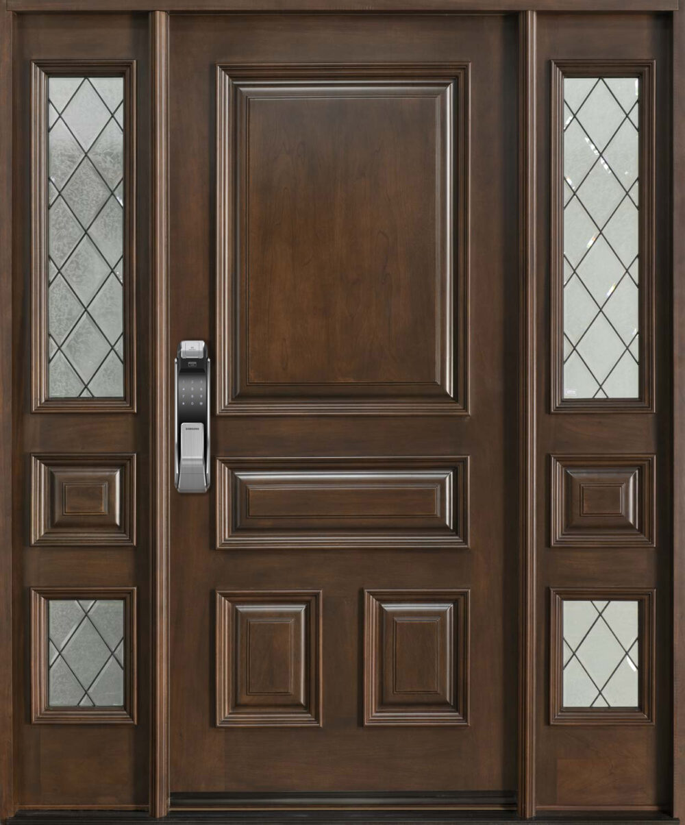 Samsung SMART Push-Pull Handle Digital Door Lock (Fingerprint version ...